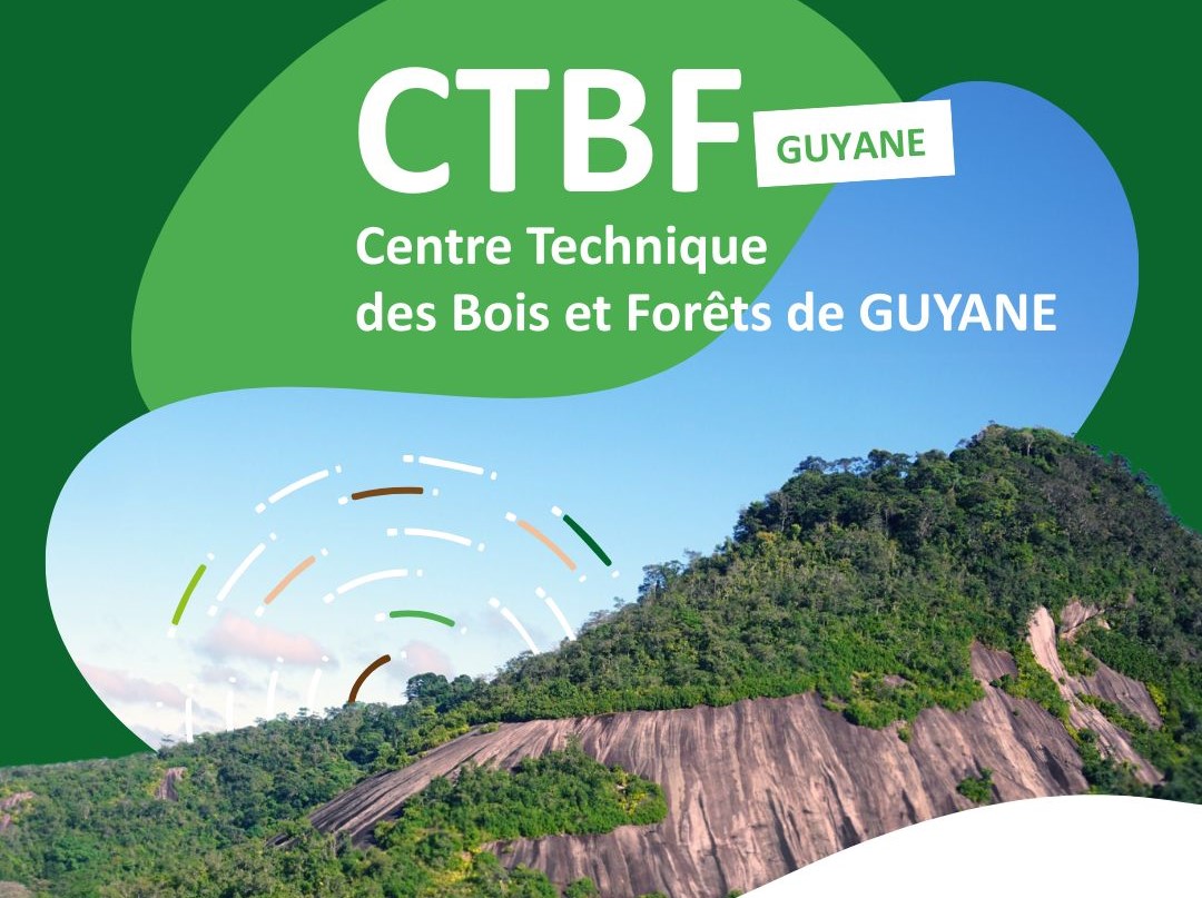 CTBF Guyane, un pilier technique pour la filière bois locale - BÂTISSEURS